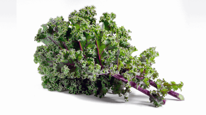 Red Russian Kale – Vegehome Pods Info